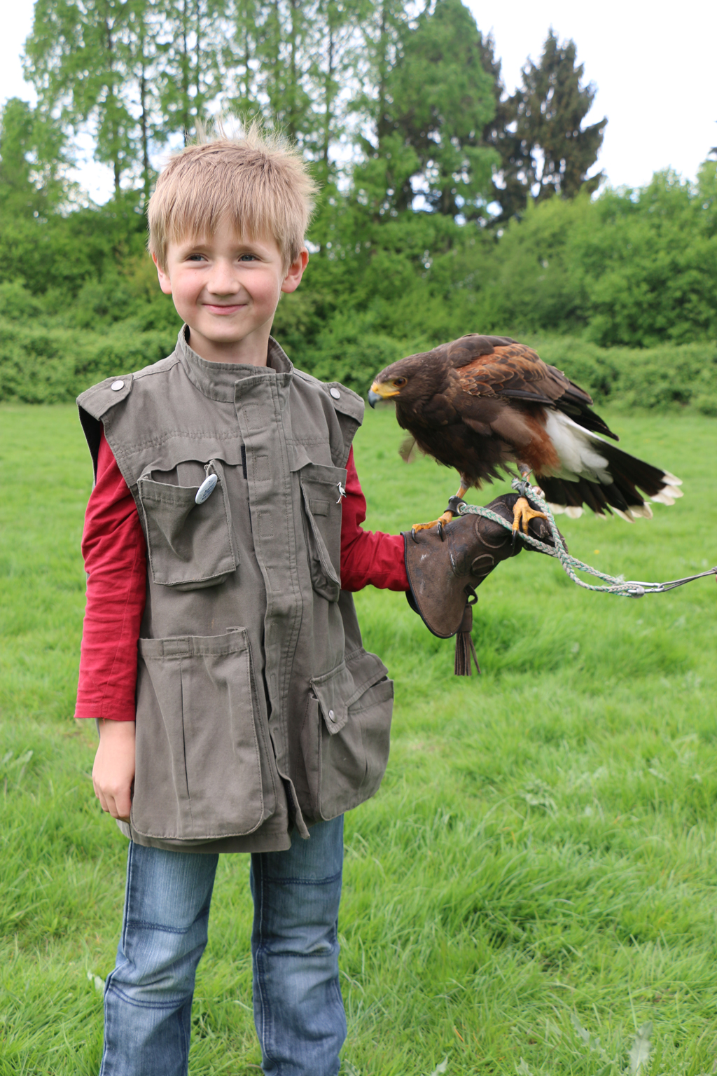 Jona mit Wüstenbussard – Iris Lau